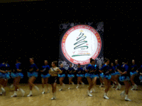 Wien GIFs - Get the best gif on GIFER