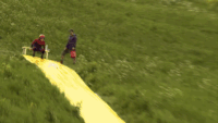 Wheeeee гифки, анимированные GIF изображения wheeeee - скачать гиф ...