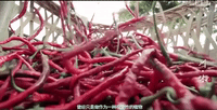 Chilli GIFs - Get the best gif on GIFER