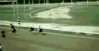 Joust GIFs - Get the best gif on GIFER