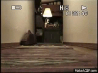 Stampede GIFs - Get the best gif on GIFER