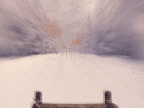 Sledges GIFs - Get the best gif on GIFER