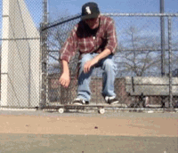 Ollie GIFs - Get the best gif on GIFER