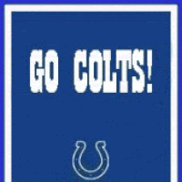 Colt GIFs - Get the best gif on GIFER