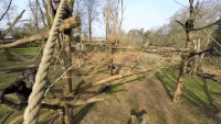 Quadcopter GIFs - Get the best gif on GIFER
