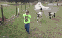 Kids GIFs - Get the best gif on GIFER