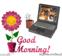 15k GIFs - Get the best gif on GIFER