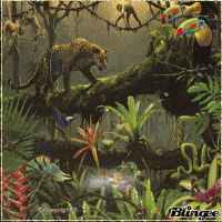 Jungle GIFs - Get the best gif on GIFER