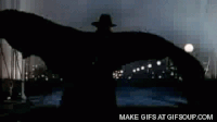 Shadow GIFs - Get the best gif on GIFER