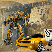 Bumblebee GIFs - Get the best gif on GIFER