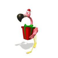 Flamingo GIFs - Get the best gif on GIFER