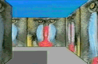 Maze GIFs - Get the best gif on GIFER