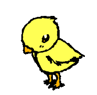 Chick GIFs - Get the best gif on GIFER