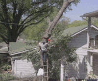 Ladder GIFs - Get the best gif on GIFER