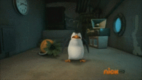 Madagascar GIFs - Get the best gif on GIFER