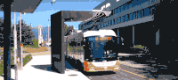 Bus GIFs - Get the best gif on GIFER
