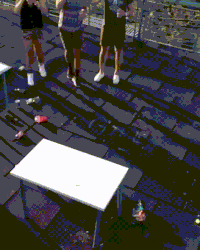 Ragdoll GIFs - Get the best gif on GIFER