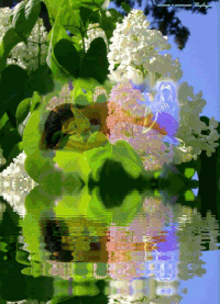 Friendster GIFs - Get the best gif on GIFER