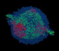 Dynamic GIFs - Get the best gif on GIFER