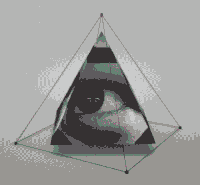 Frantic GIFs - Get the best gif on GIFER