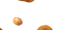 Potato GIFs - Get the best gif on GIFER
