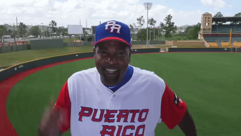 Wbc GIFs - Get the best gif on GIFER