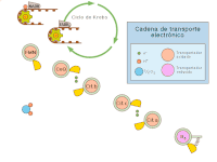 Atp GIFs - Get the best gif on GIFER