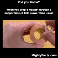 Physique GIFs - Get the best gif on GIFER