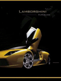 Lambo GIFs - Get the best gif on GIFER