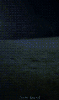 Starry GIFs - Get the best gif on GIFER