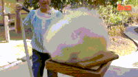 Fluffy GIFs - Get the best gif on GIFER