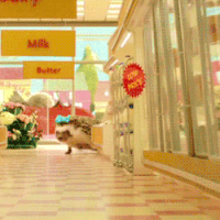 Cute hedgehog GIFs - Get the best gif on GIFER
