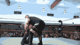 Steen GIFs - Get the best gif on GIFER
