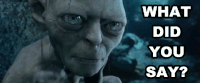Description GIFs - Get the best gif on GIFER