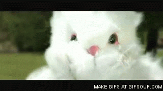 Rabbit suit GIF - Conseguir o melhor gif em GIFER
