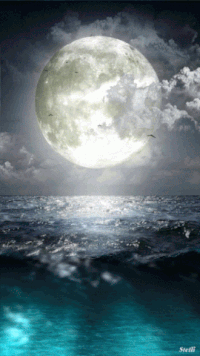 Wisdom GIFs - Get the best gif on GIFER