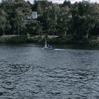 Loon GIFs - Get the best gif on GIFER