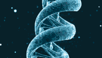 Dna GIFs - Get the best gif on GIFER