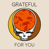 Grateful GIFs - Get the best gif on GIFER