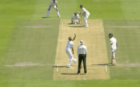 Cricket GIFs - Get the best gif on GIFER