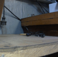 424 GIFs - Get the best gif on GIFER