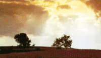 Musketeer GIFs - Get the best gif on GIFER