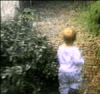 Samhain GIFs - Get the best gif on GIFER