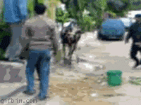 Ostia GIFs - Get the best gif on GIFER
