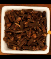 Kochi GIFs - Get the best gif on GIFER