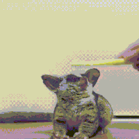 Toothbrush GIFs - Get the best gif on GIFER