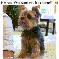 Hey GIFs - Get the best gif on GIFER