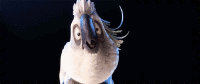 Рио GIFs - Get the best gif on GIFER