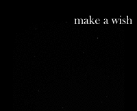 Wish GIFs - Get the best gif on GIFER