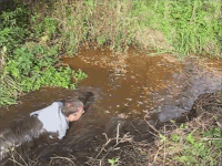 Gunge GIF - Conseguir o melhor gif em GIFER
